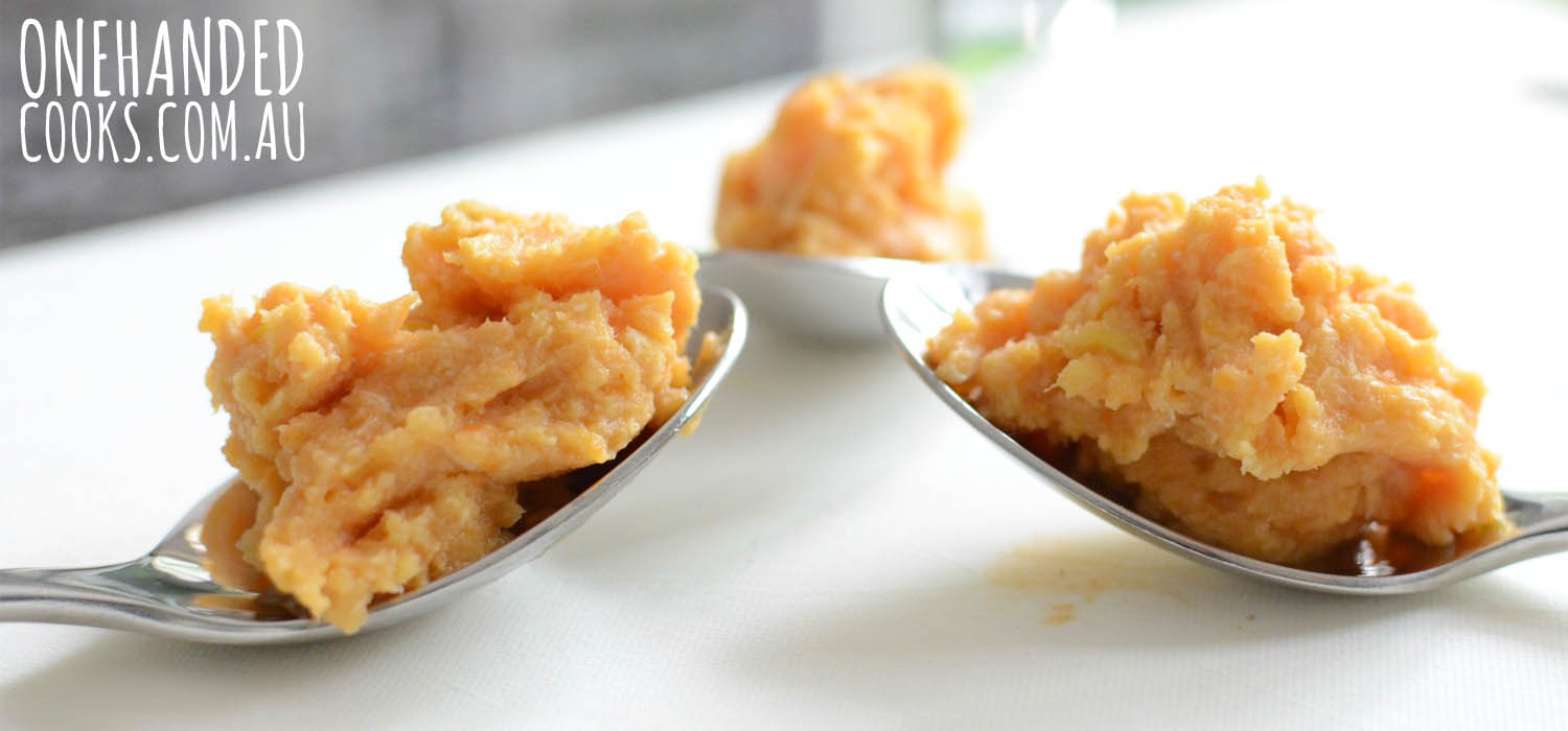 Holiday Chicken Puree - One Handed Cooks