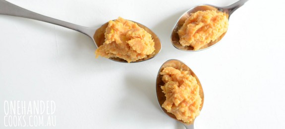 Holiday Chicken Puree - One Handed Cooks