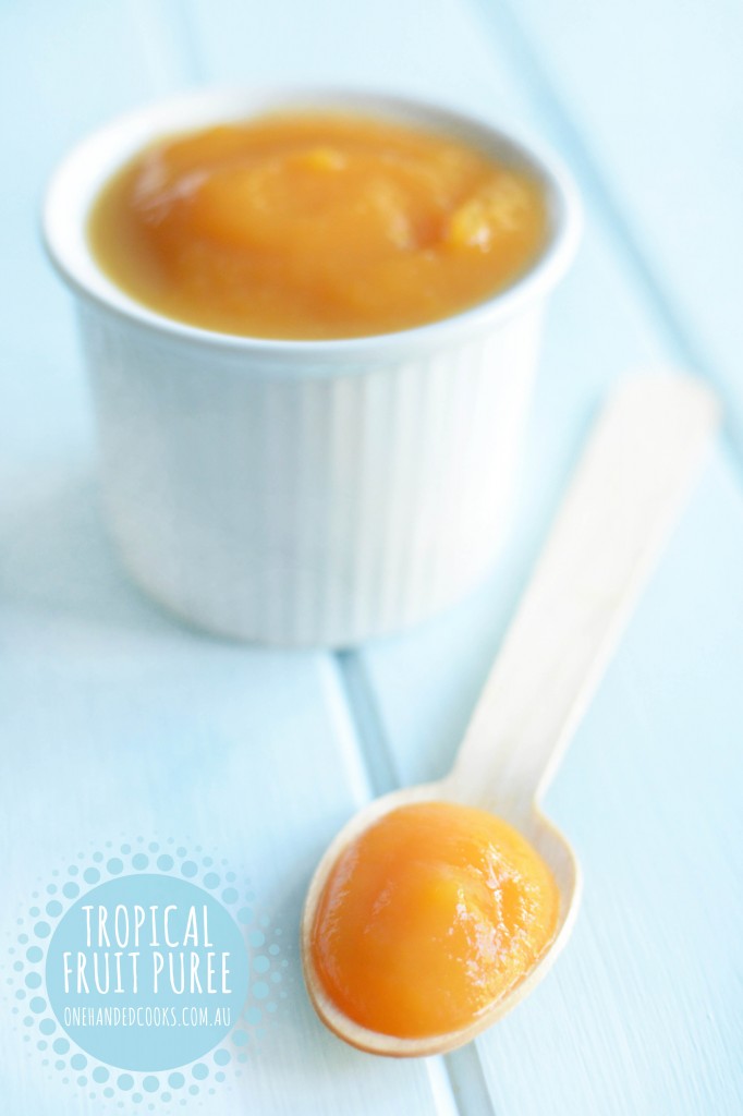 Tropical Fruit Baby Puree - One Handed Cooks